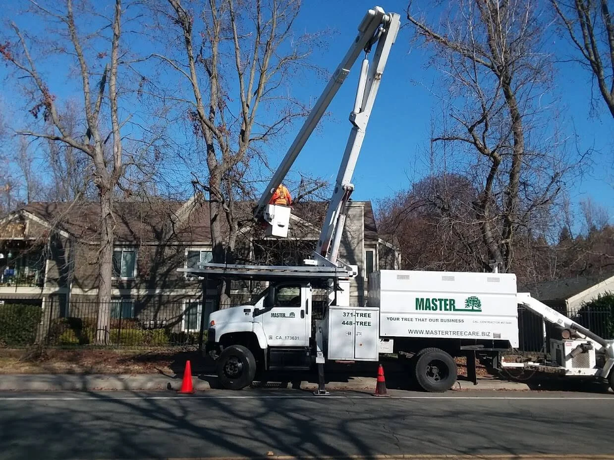 Master Tree Care, Inc.