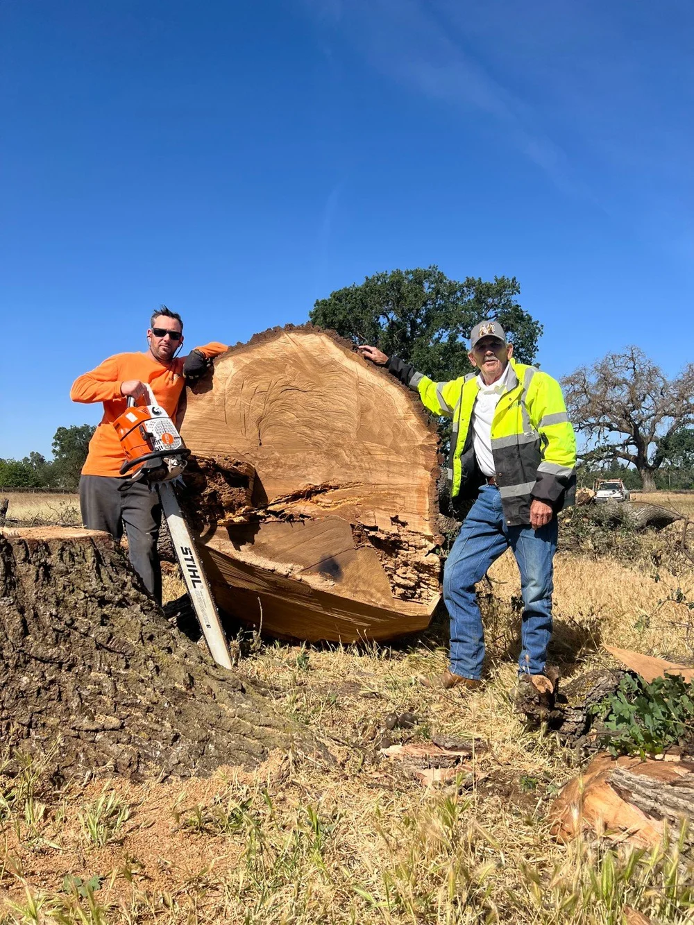 Master Tree Care, Inc.