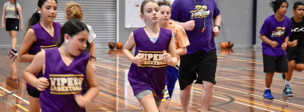 2024 Summer Season — Varsity Vipers