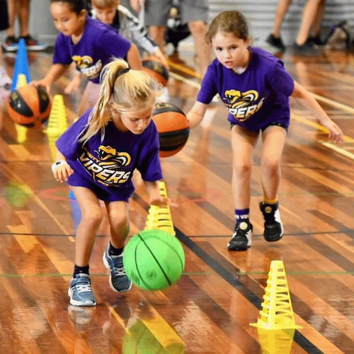 About the Club — Varsity Vipers