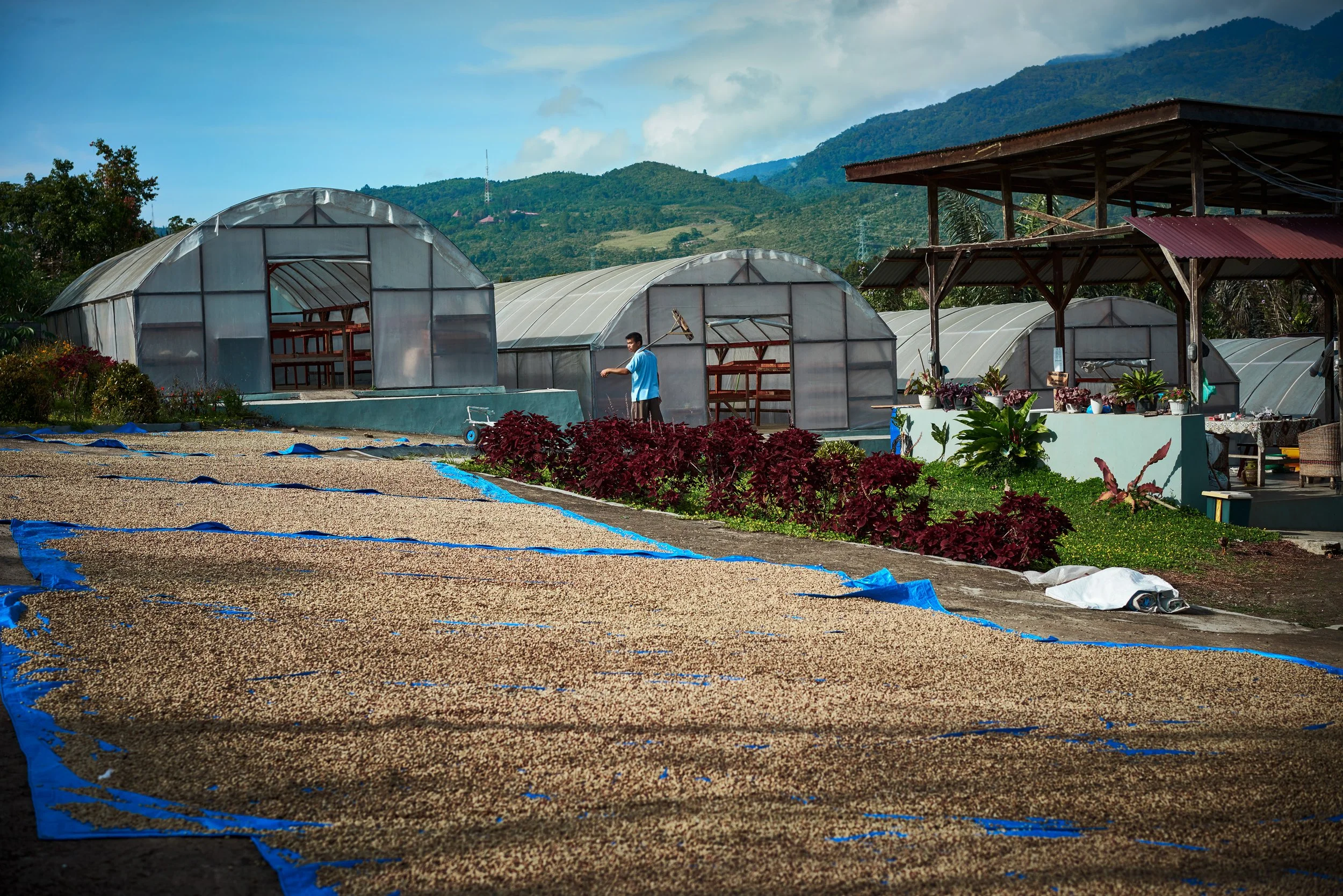 About — NARARA COFFEE