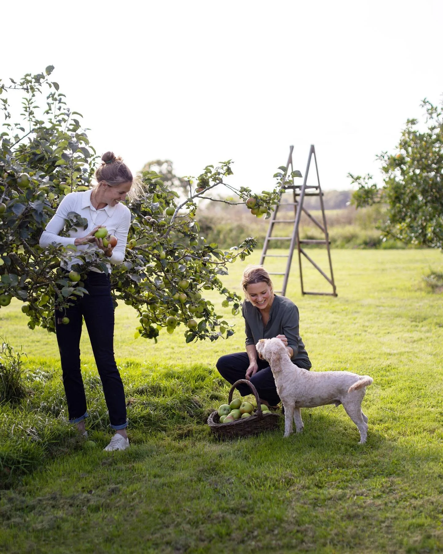 Husk - Suffolk restaurant with rooms