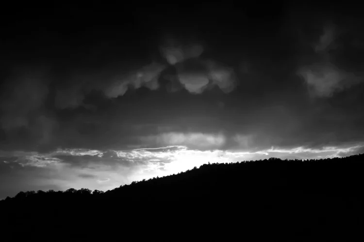 Techniques — Sipe Laboratory