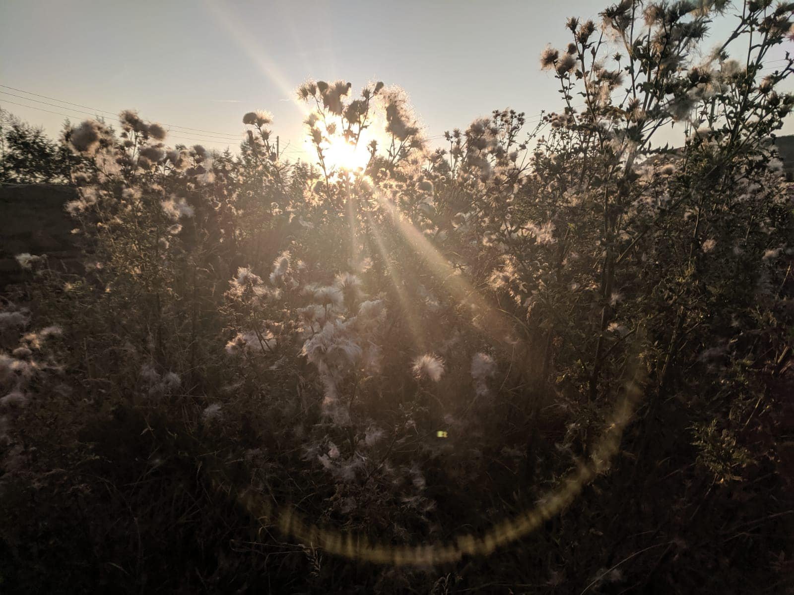 HSP Counselling & Coaching | Huddersfield & Online UK