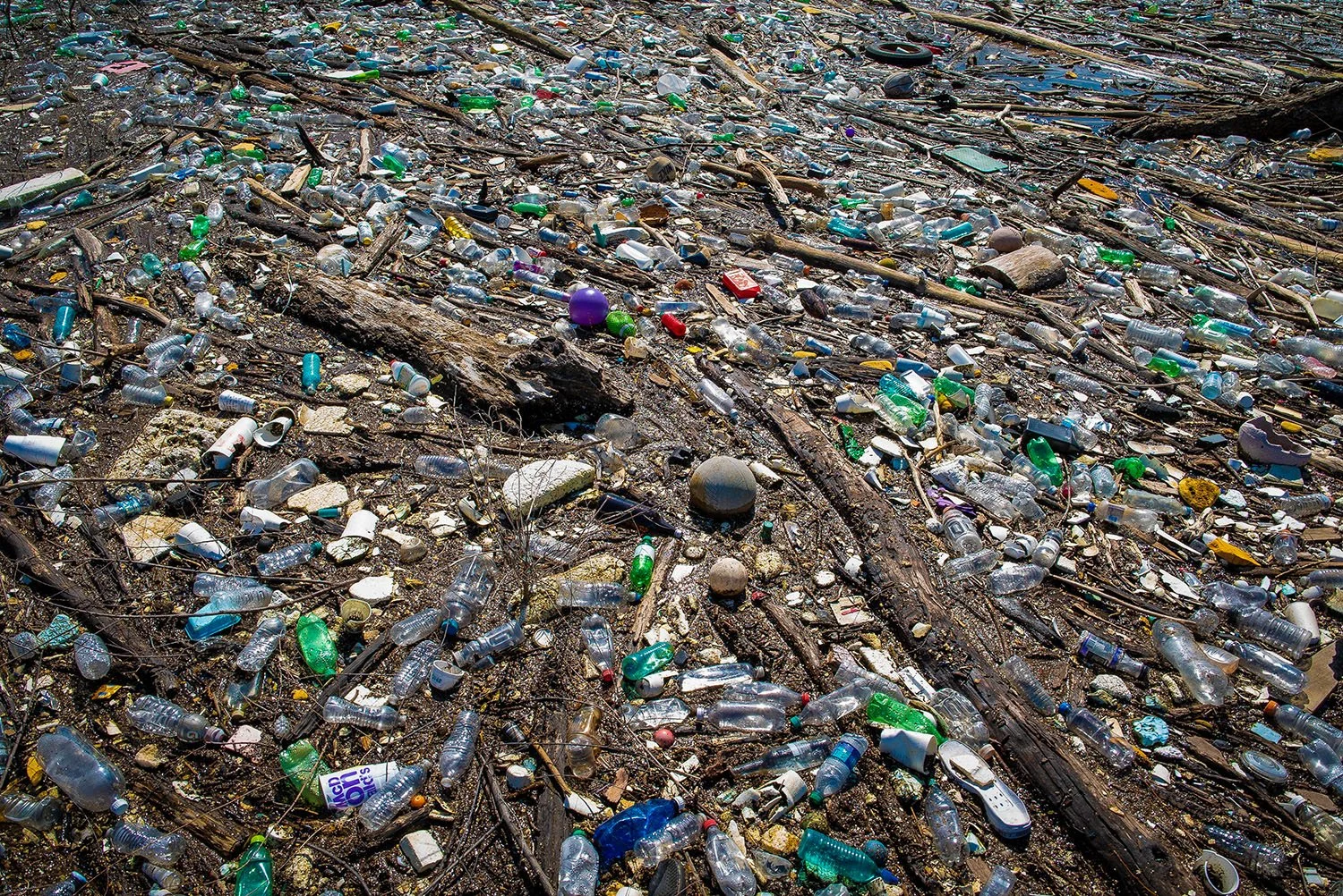 About — Green Current Solutions