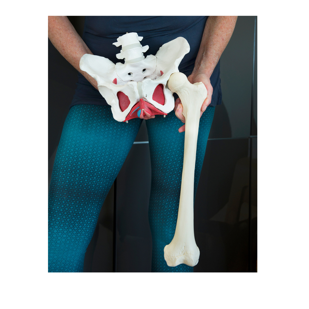 Hip Routine for Staying Pain-Free | Heather Dennis Method