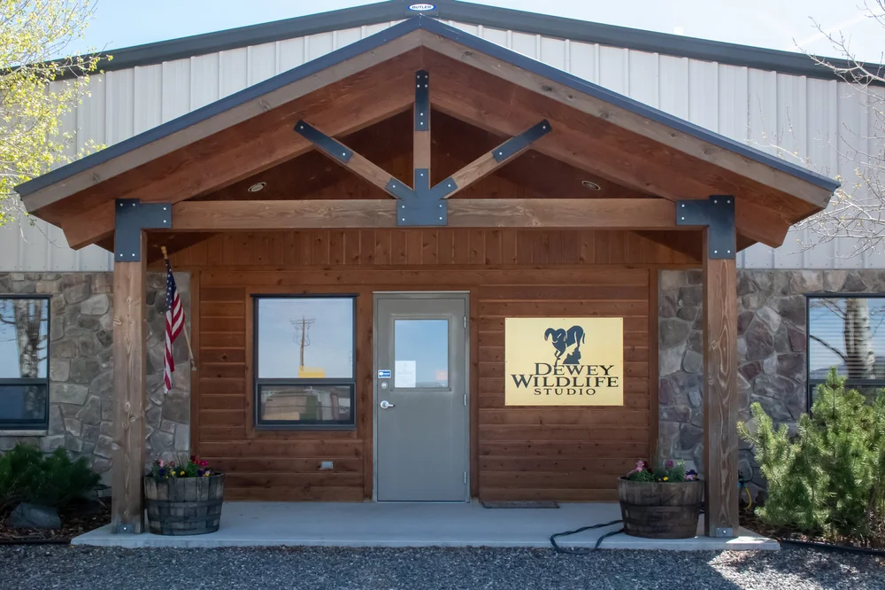 Contact and Location — Dewey Wildlife Studio LLC.