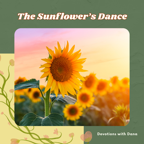 The Sunflower’s Dance — Dana Rongione