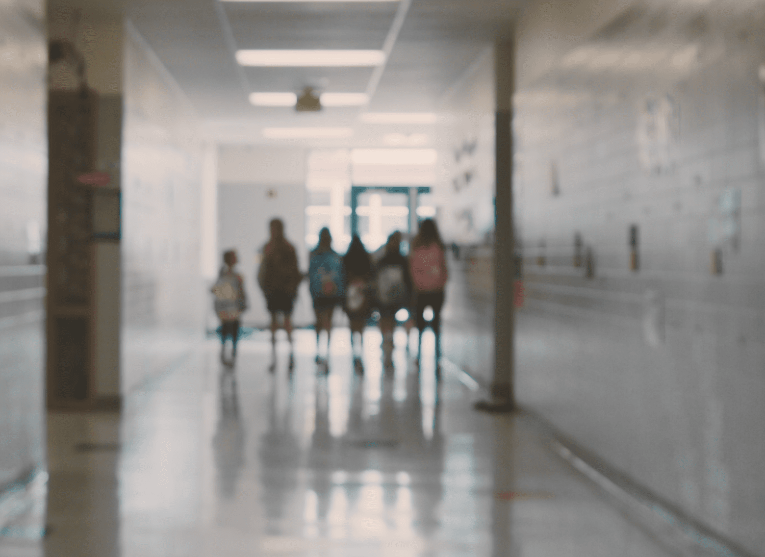 Appleton Elementary PTA