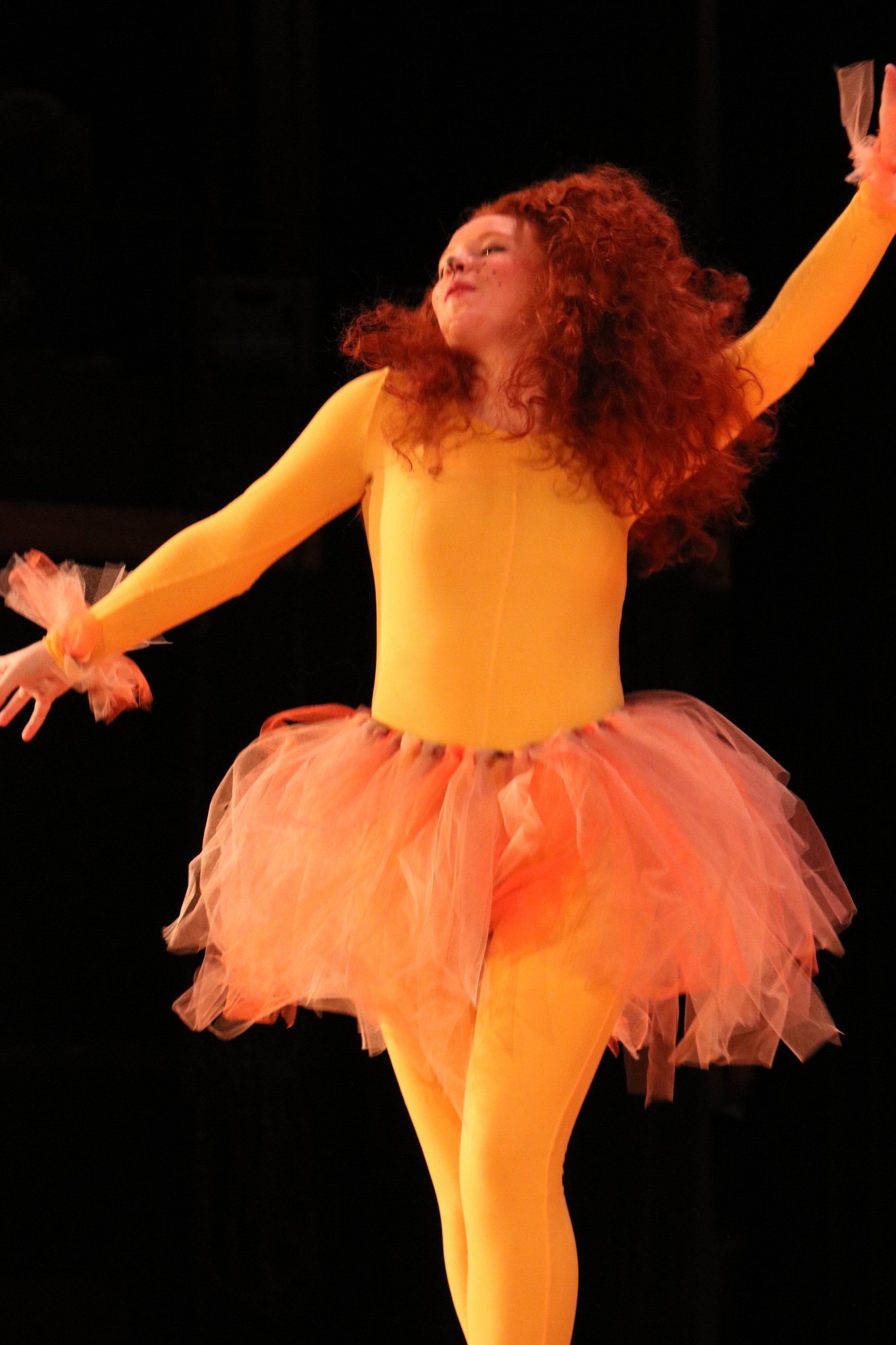 2016 Recital — Cassidy Dance Studio