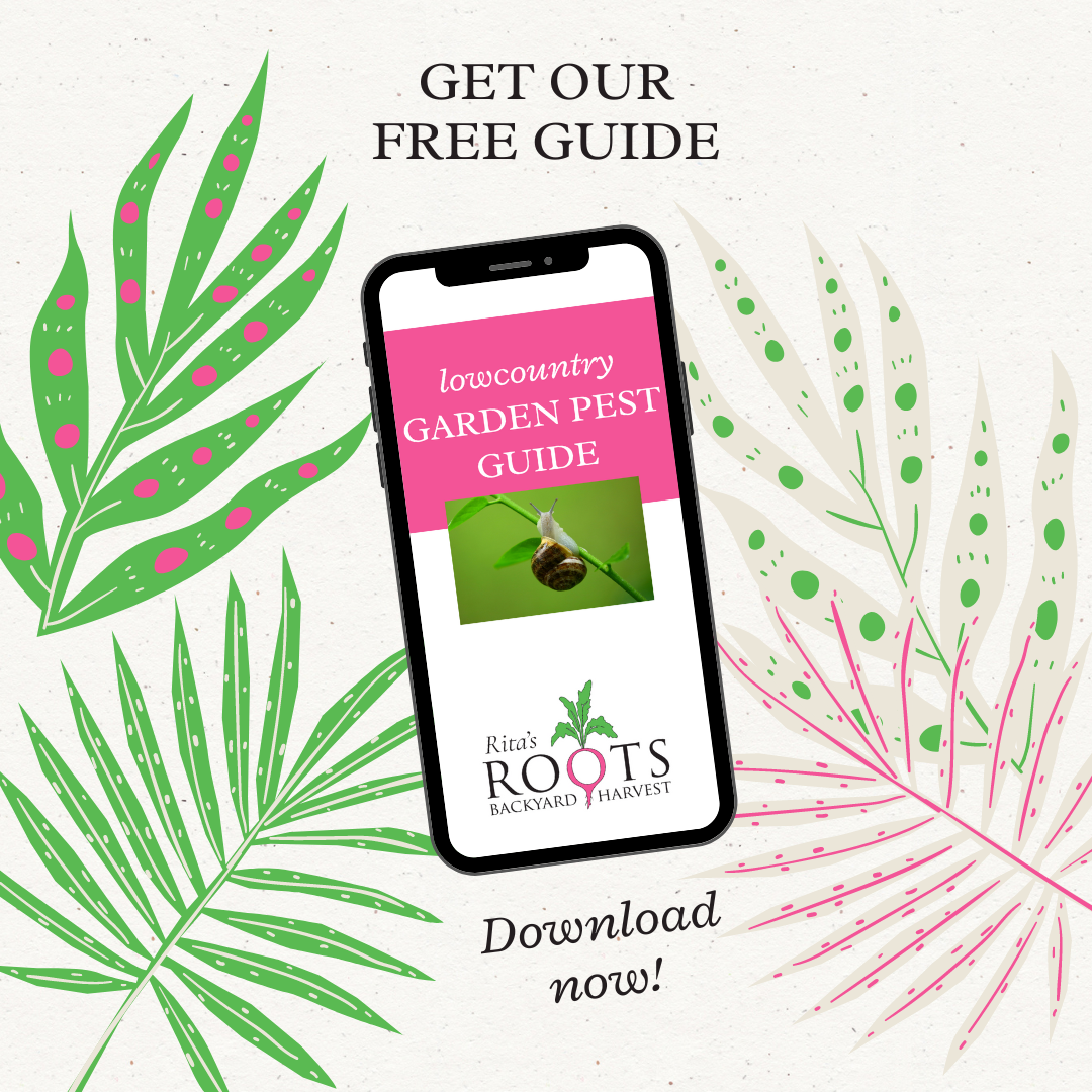Common Garden Pests & How to Treat Them — Rita's Roots