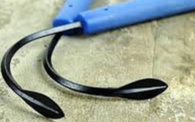 5 Favorite Vegetable Garden Tools — Rita's Roots