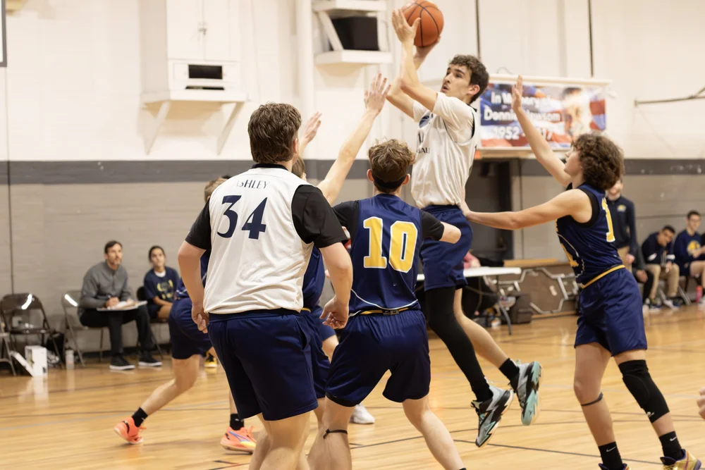 Electives — Cathedral Oak Academy