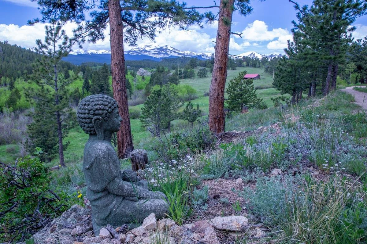 Events — Djuna Yoga