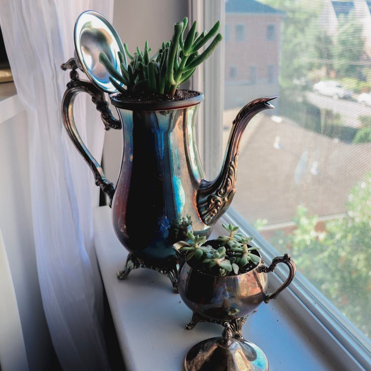 3 Houseplant Styling Tips For Any Space! — Plant Savvy
