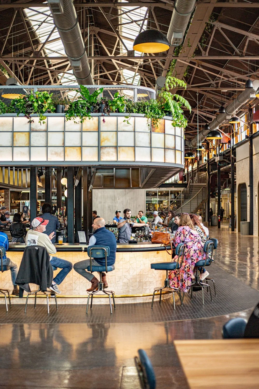 Commercial Plant Services — Plant Savvy