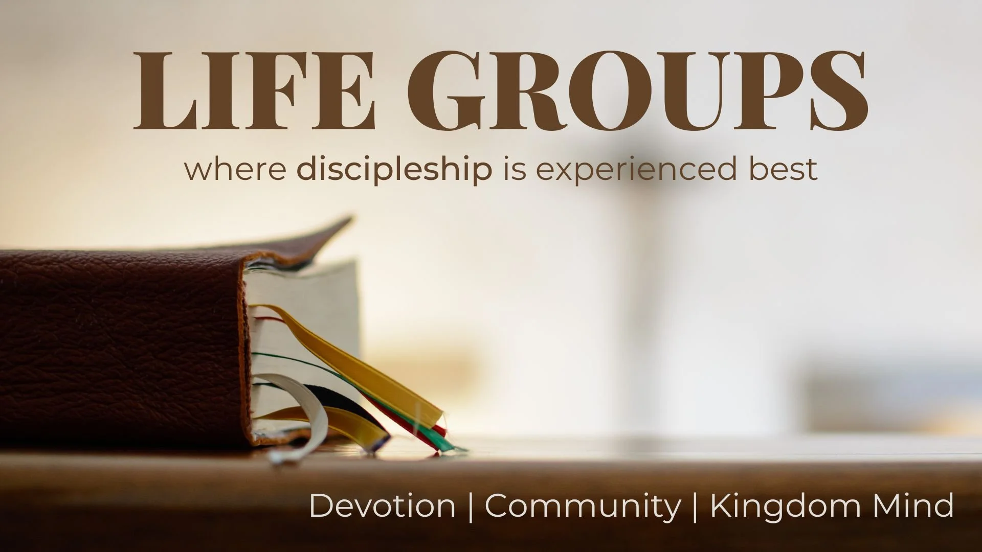 Activities — Lifeline Denton