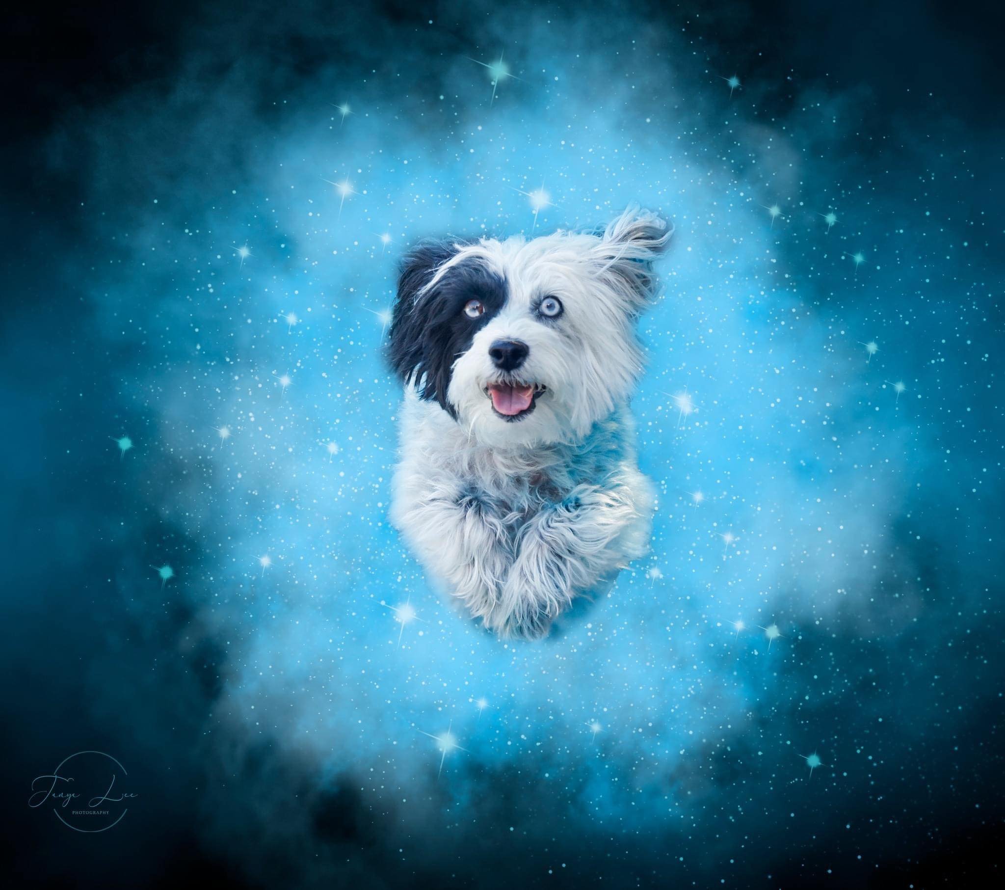 POWDER — Tanya Lee Photography