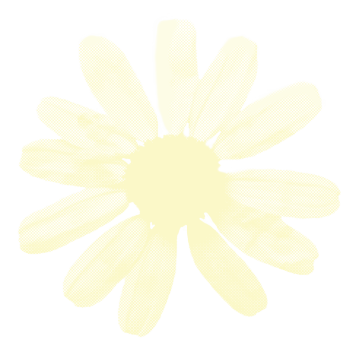 Feverfew | Creating romantic, abundant and magical wedding flowers in ...