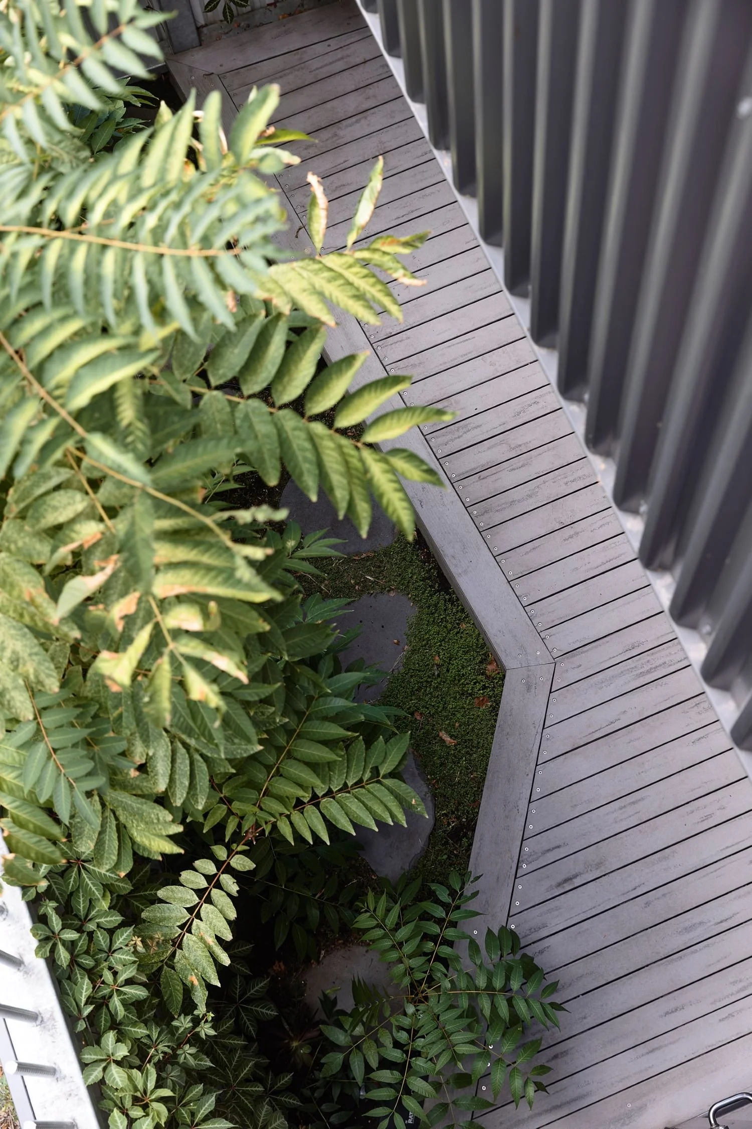 Urban Infill - Modern Terrace House — Austin Cafra Austin Architects