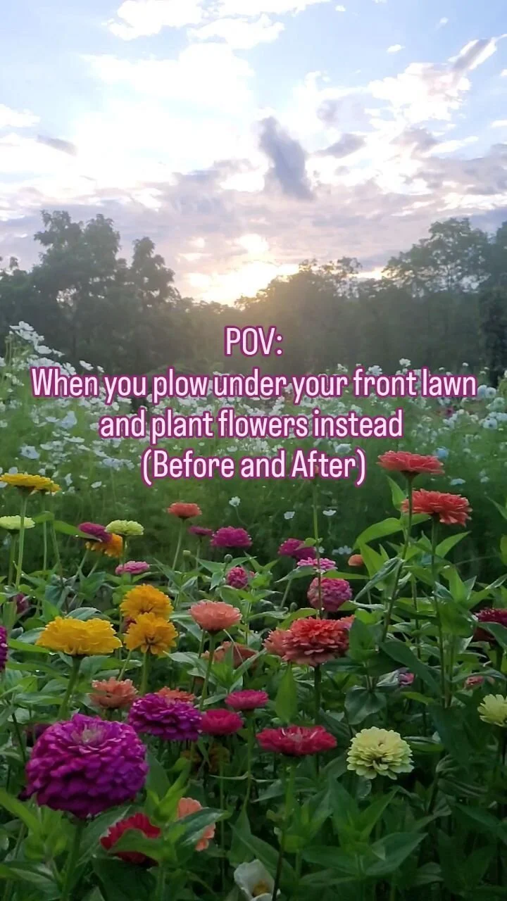 All Who Wander Flower Farm | Dundas, Ontario