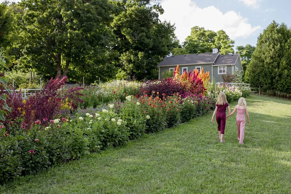 All Who Wander Flower Farm | Dundas, Ontario