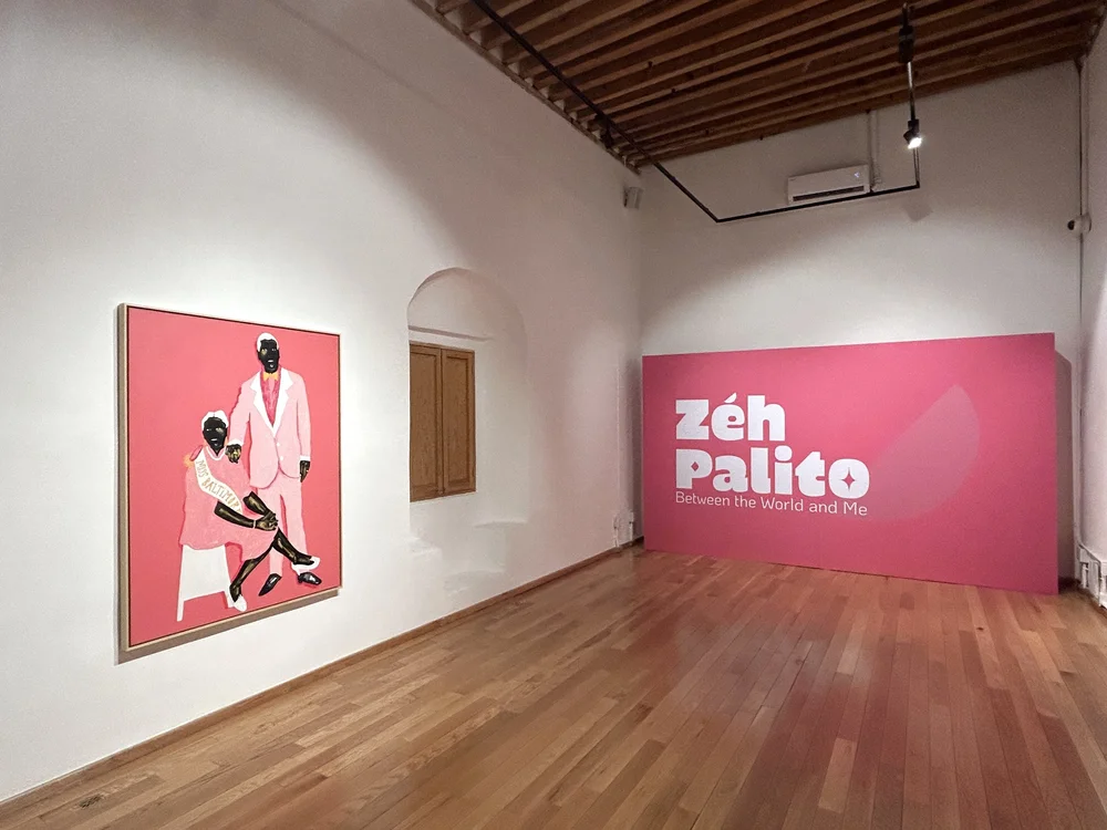 Select Exhibitions — Zéh Palito