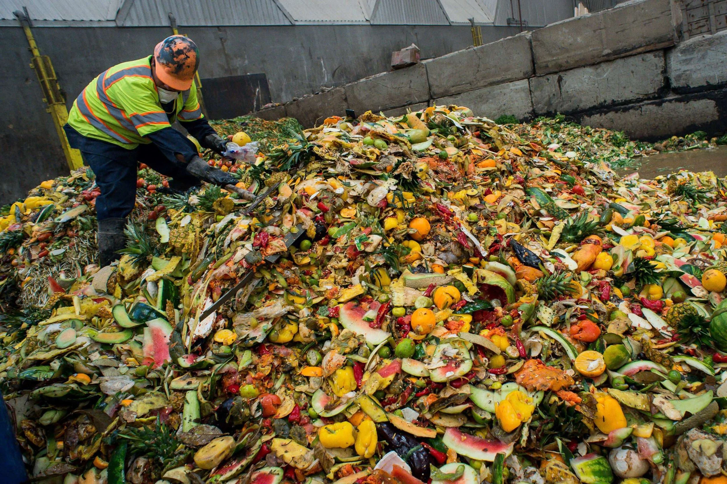 Food Waste In America Demi Making Composting Mainstream