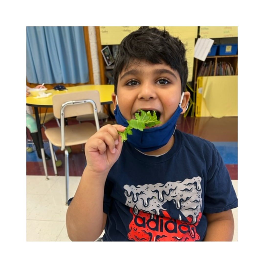 Healthy Foods for Healthy Kids