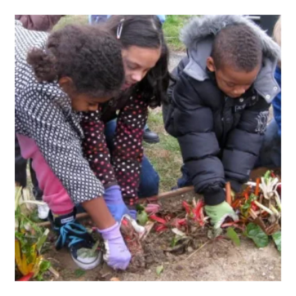School Partners | Join Our Movement — Healthy Foods for Healthy Kids