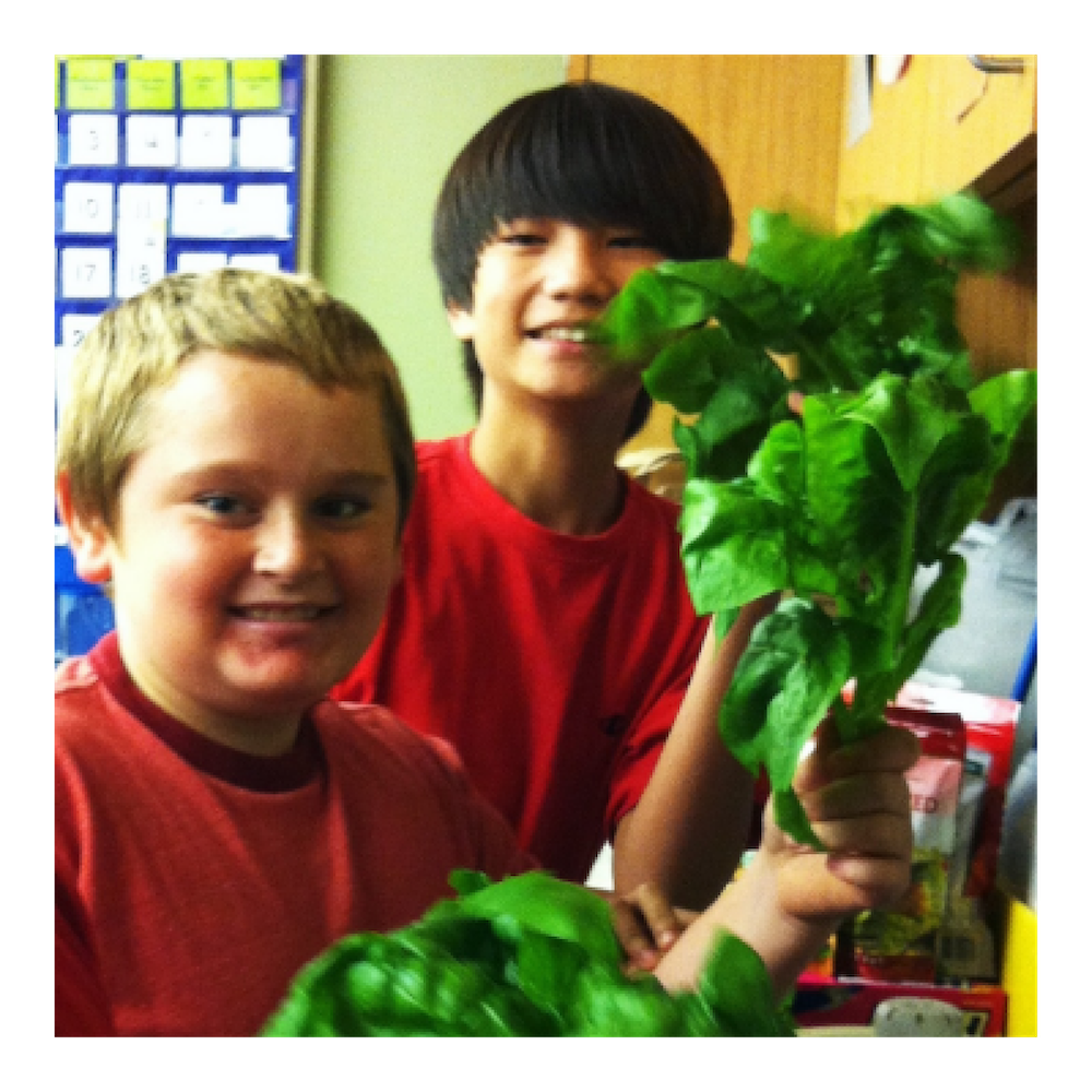 School Partners | Join Our Movement — Healthy Foods for Healthy Kids
