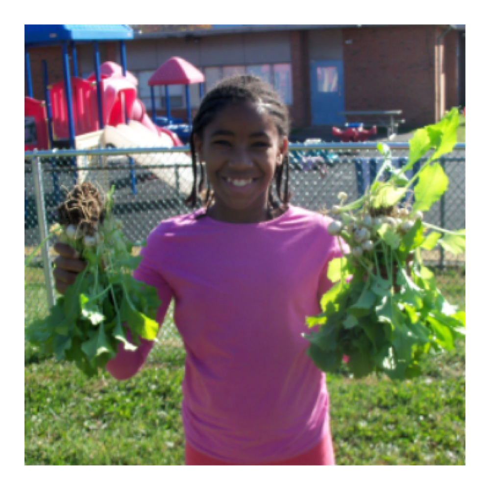 School Partners | Join Our Movement — Healthy Foods for Healthy Kids