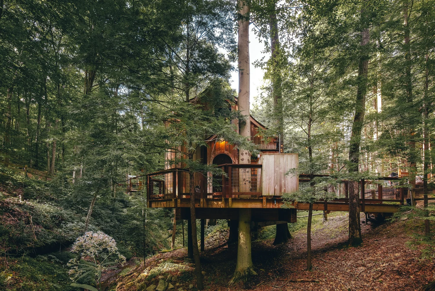 Beech — Hocking Hills Treehouse Cabins
