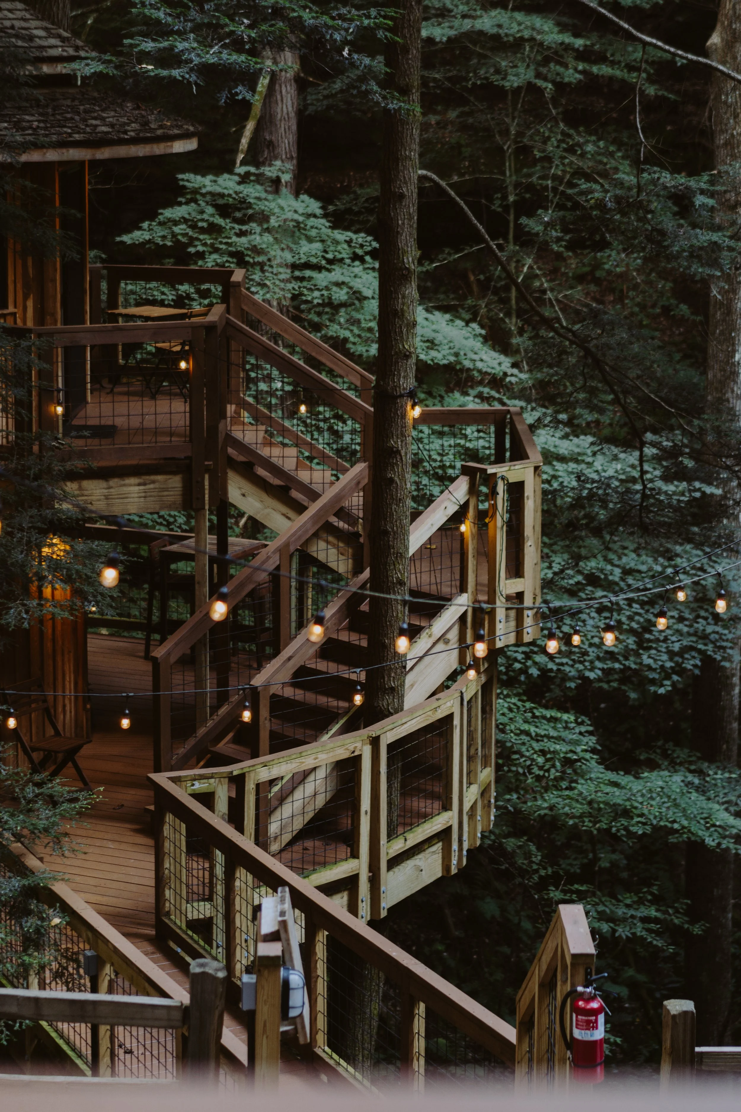Gallery — Hocking Hills Treehouse Cabins