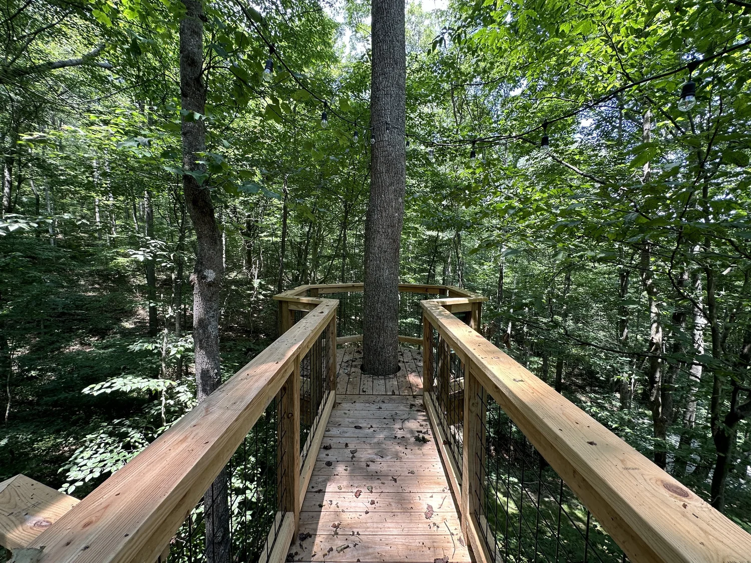 Tulip — Hocking Hills Treehouse Cabins