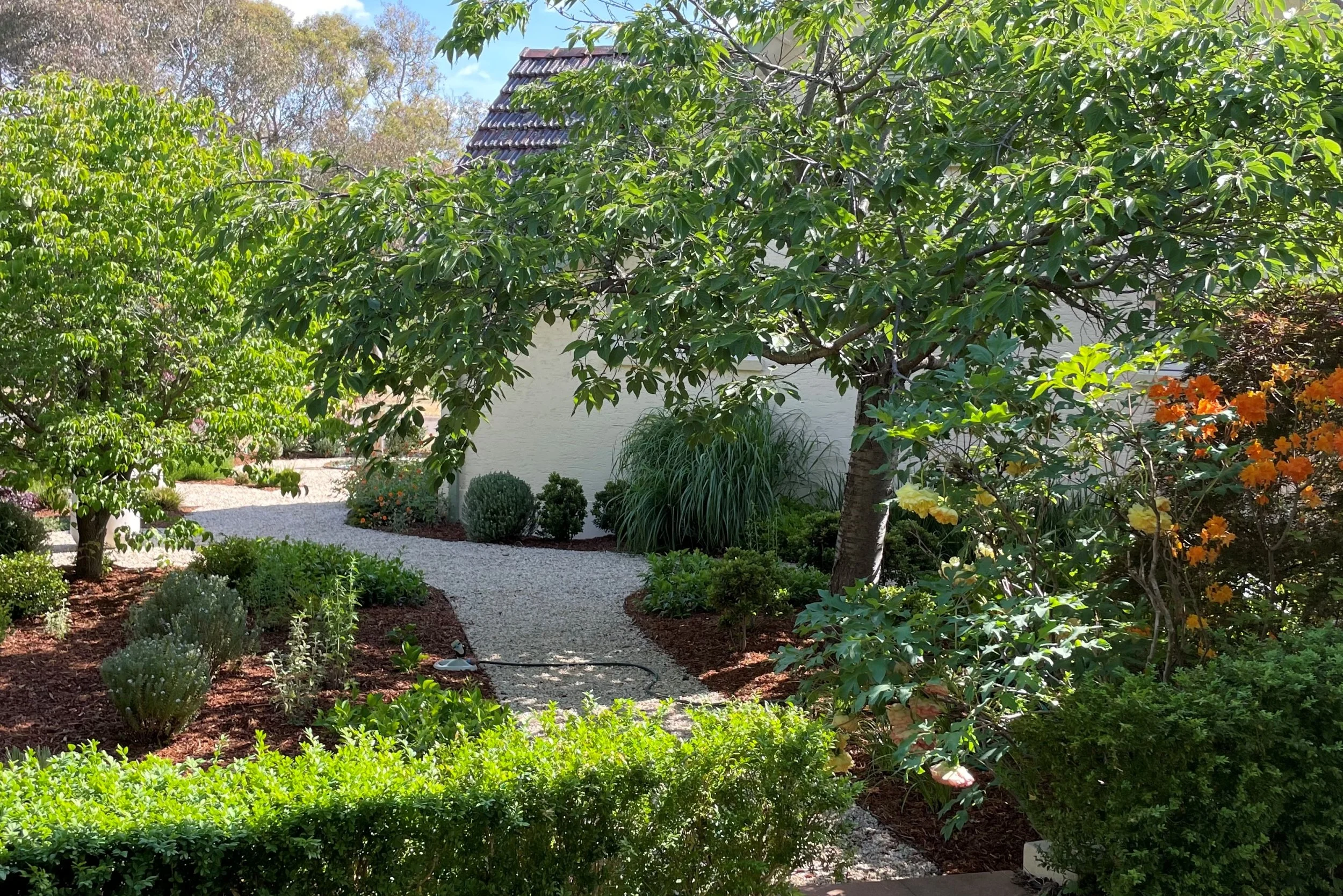 Garden + Landscape Design Studio - Canberra | GardenSpace