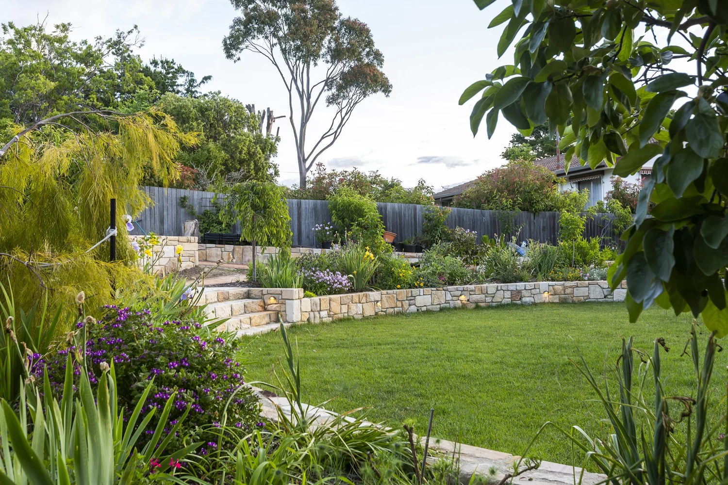 Garden + Landscape Design Studio - Canberra | GardenSpace