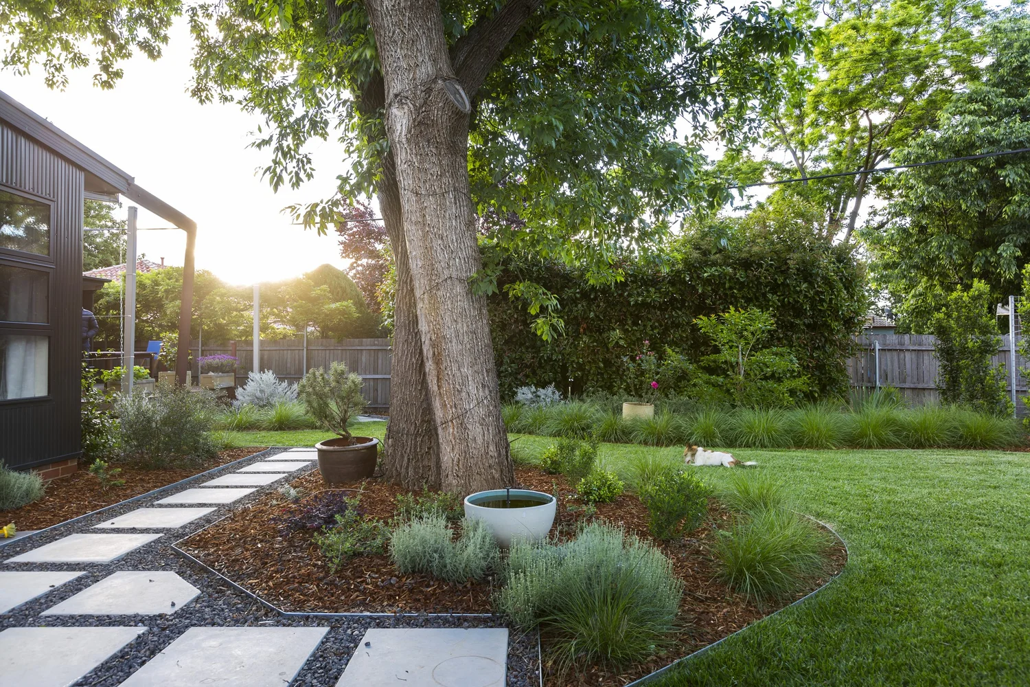 Garden + Landscape Design Studio - Canberra | GardenSpace