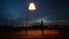 Bloomlight by VOUW: Curious street lanterns for public space. — VOUW