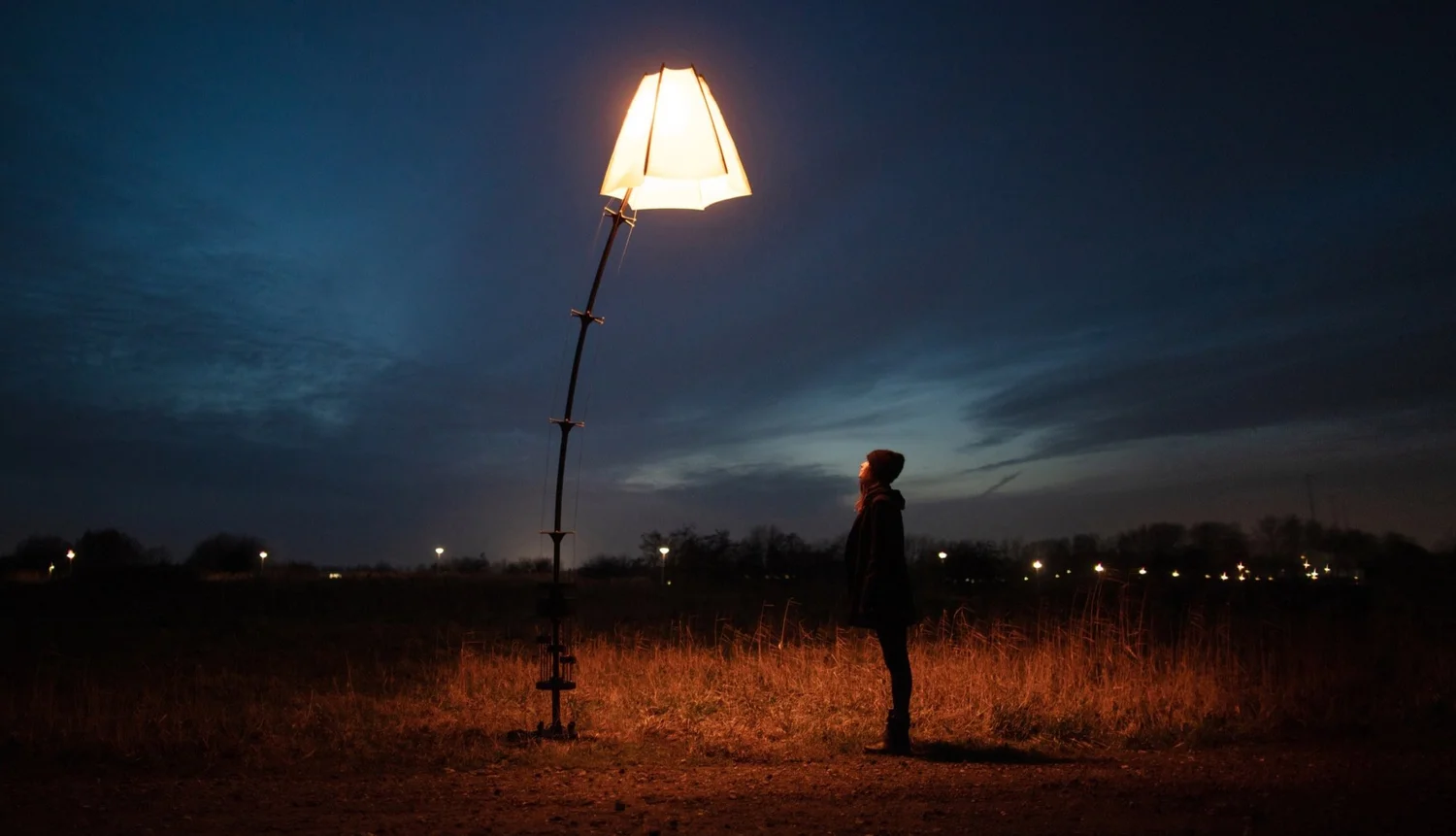 Bloomlight by VOUW: Curious street lanterns for public space. — VOUW