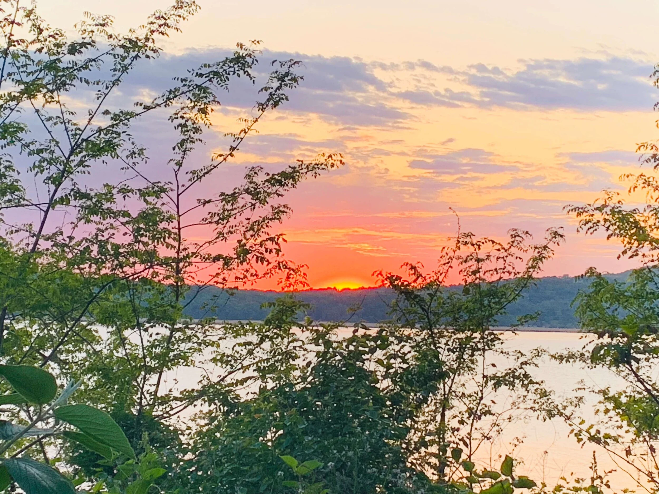 Rahul Sarin shares his mang’Oh Teacher Training experience — The Yoga ...