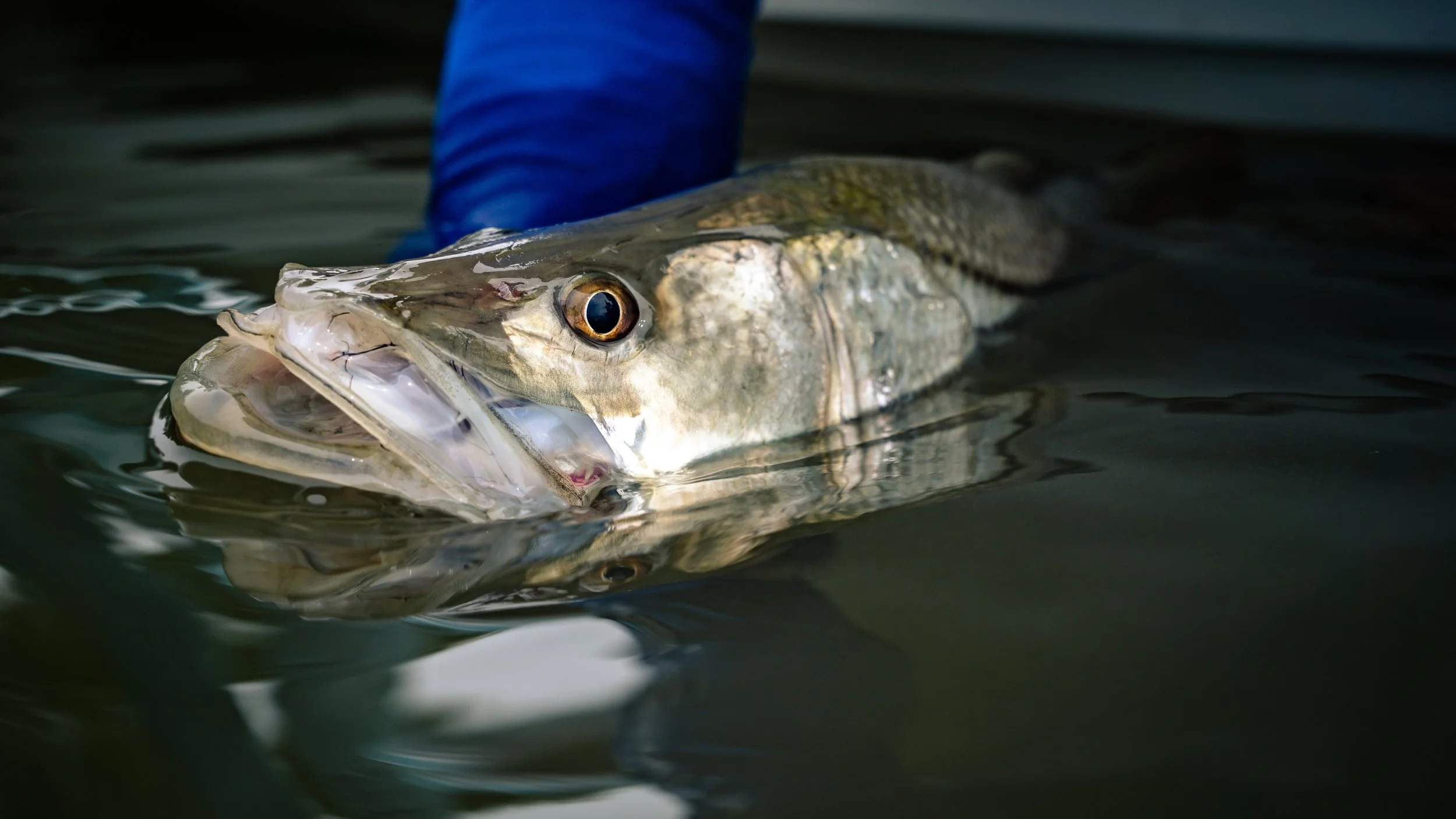 Fly Fishing / Sight Casting — Fishcreek Glampground and Ramp