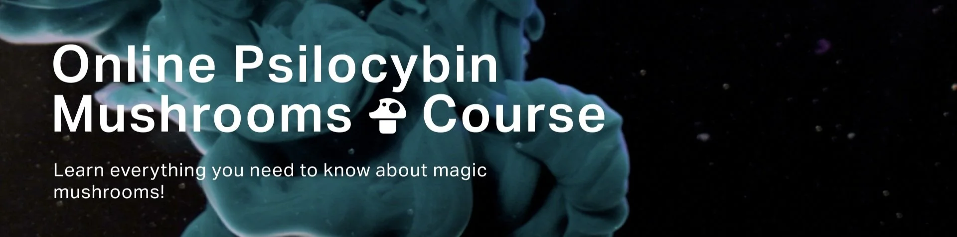 An Interview with Jennifer Chesak, Author of “The Psilocybin Handbook for Women: How Magic ...