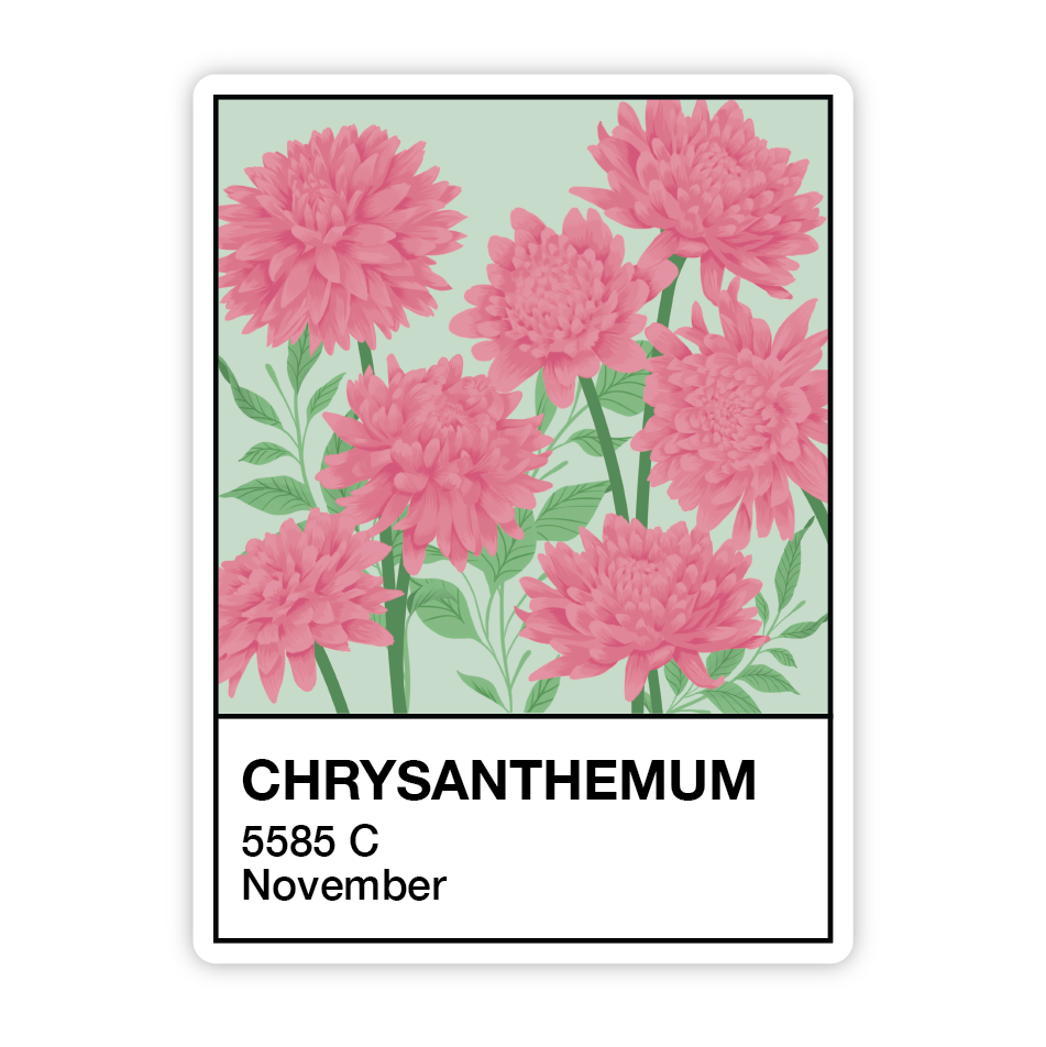 November Birth Flowers