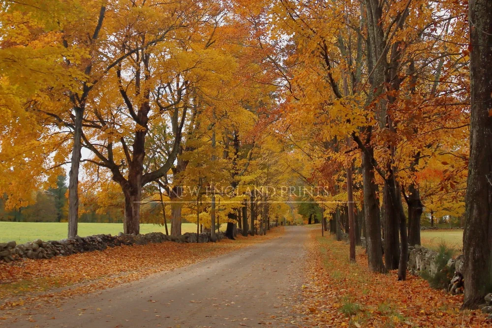 New England Prints - Classic Landscapes of New England