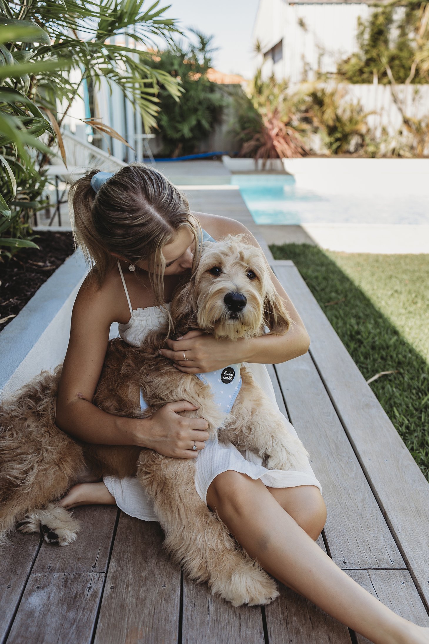 Perth Groodle Family Breeders — Perth Groodles