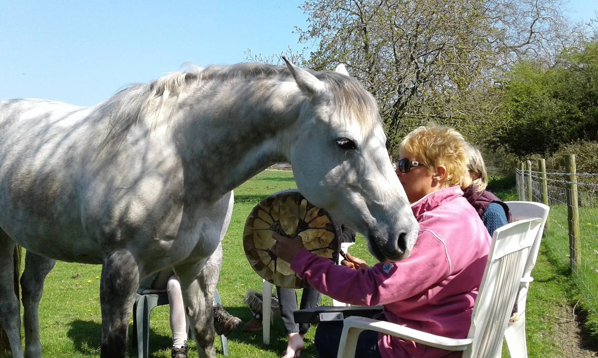 Healing and Drumming Workshop — Horses Voice