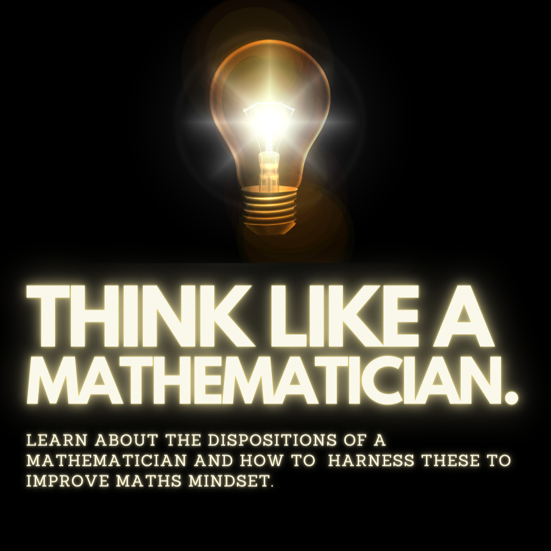 School Incursions — Limitless Maths