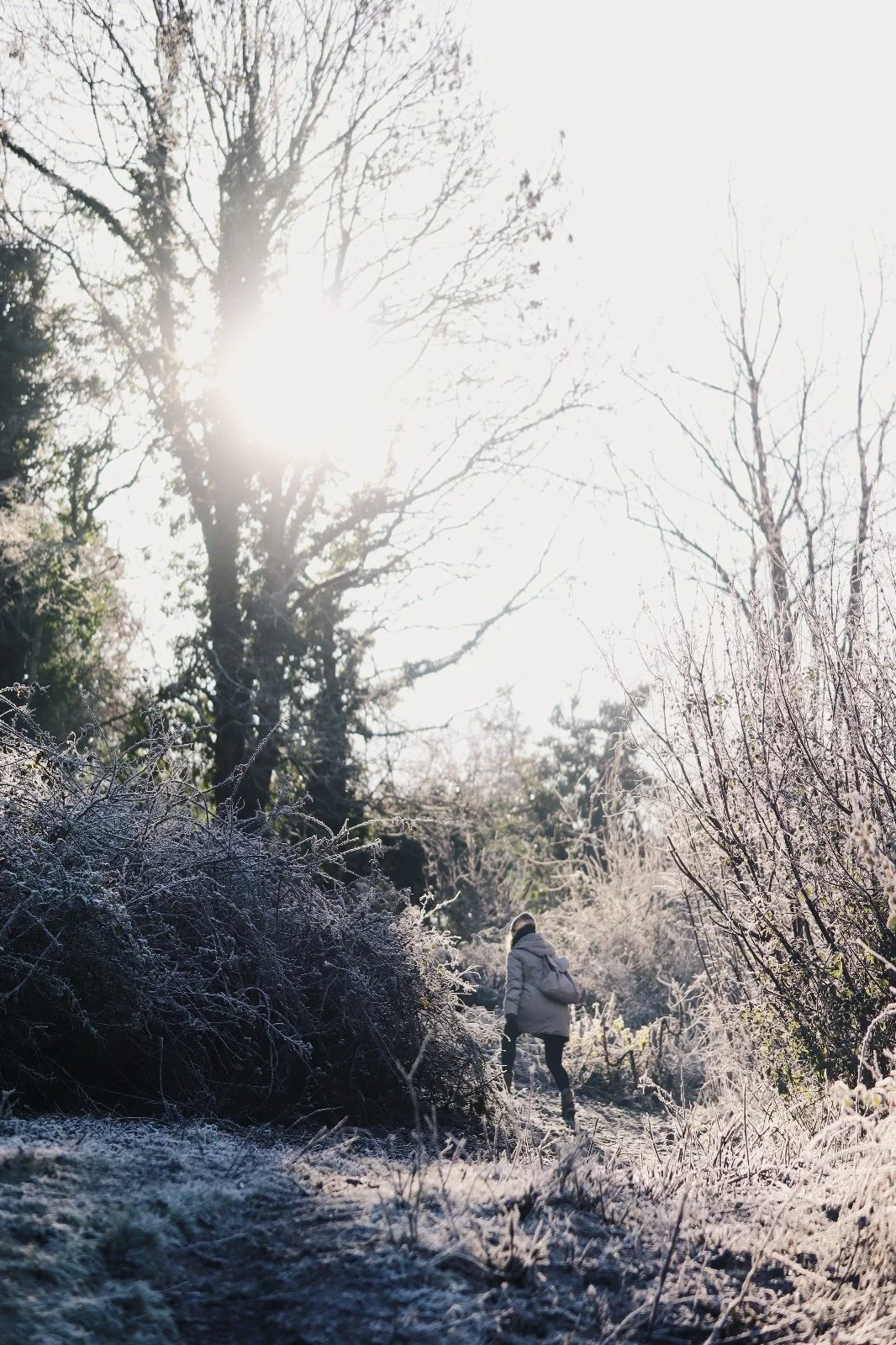 Community Solo for Teams — Becoming Crew