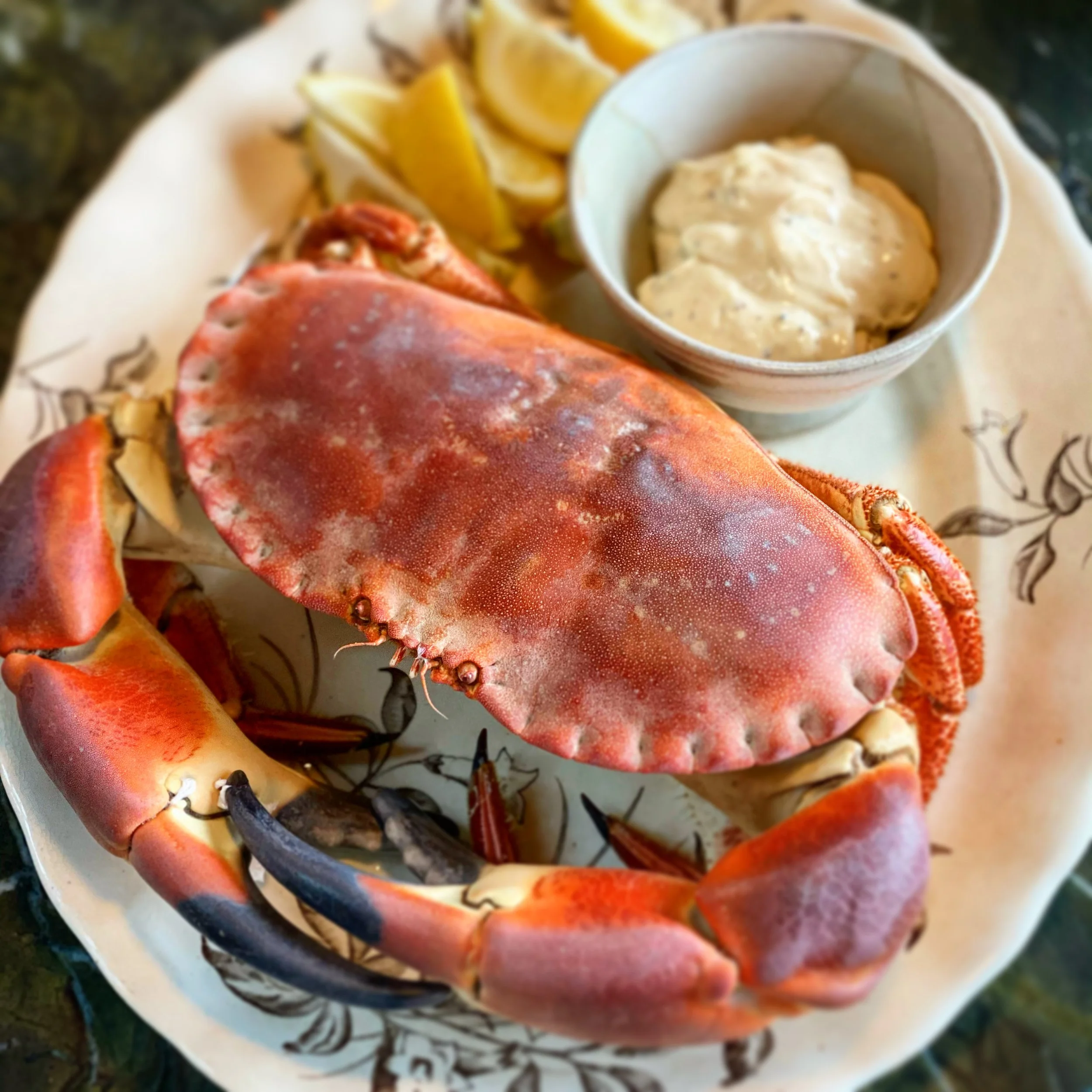 Contact Us — The Whistling Oyster - Fish Mongers